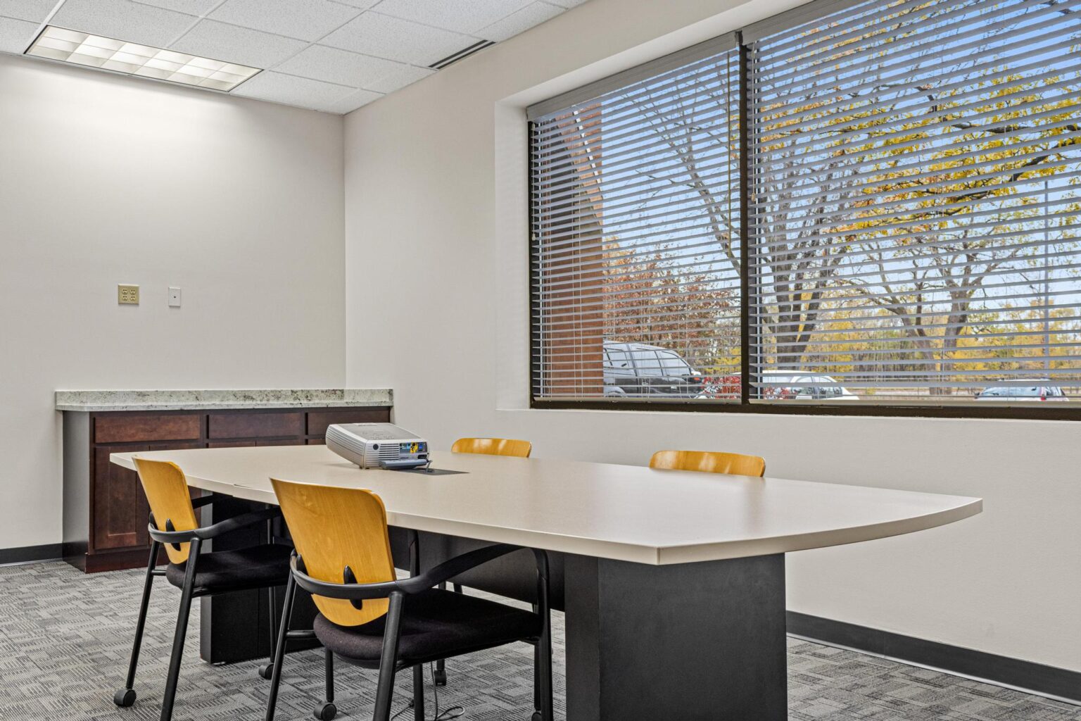 InControl - The Bainey Group, Inc.